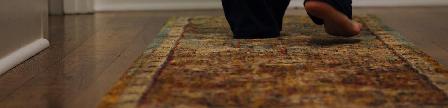Browse the 12x20 Rugs Catalog and Search - Area Rugs.Shop US